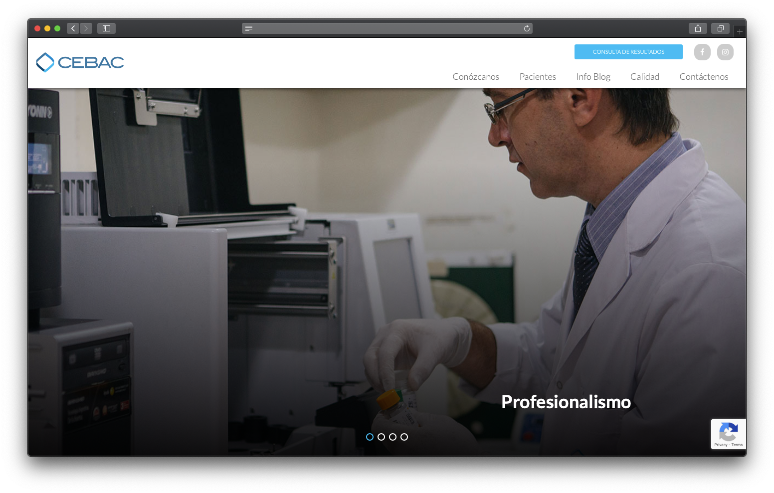 Sitio Web Laboratorio CEBAC - Borealis Consulting