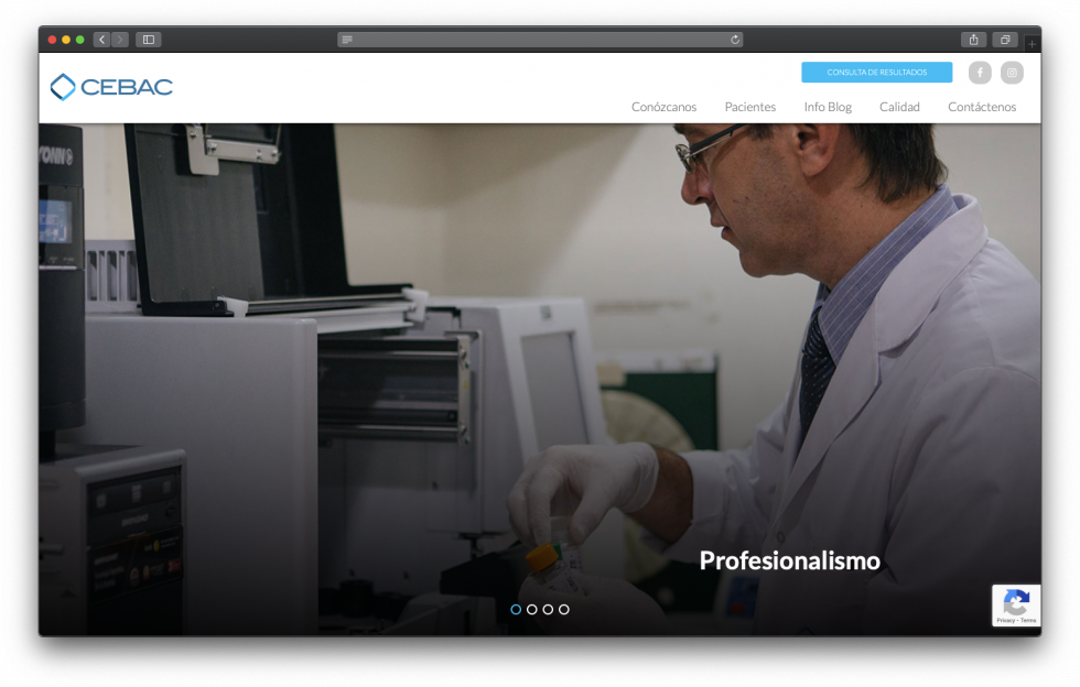 Sitio Web Laboratorio CEBAC - Borealis Consulting